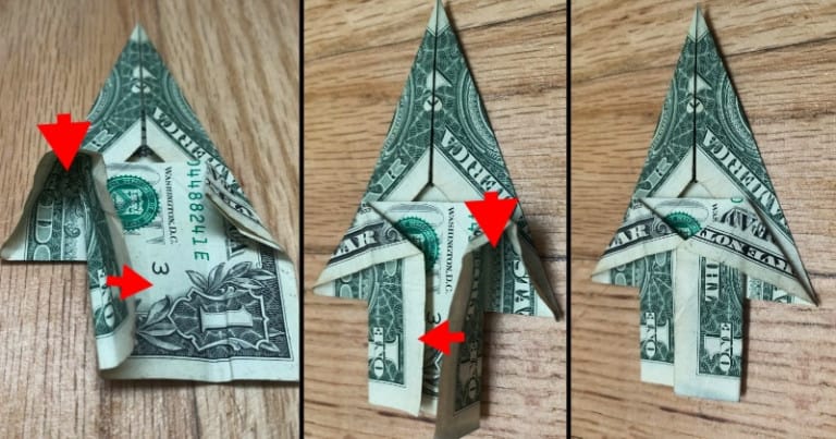 EASY Dollar Bill Tree in 7 Folds: Step-By-Step | The Daily Dabble